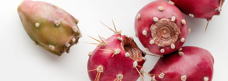 Prickly Pear for Skin – Skinician